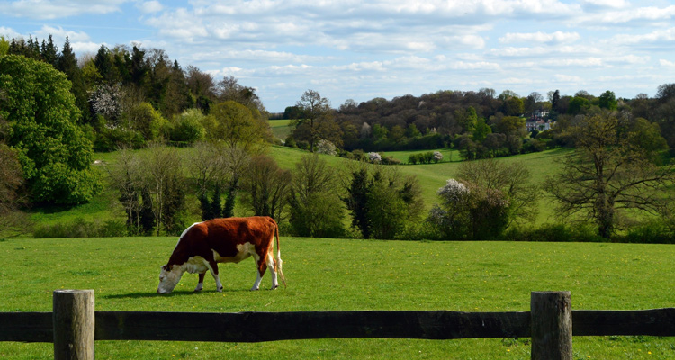 Recent News - North Tamerton Parish Website